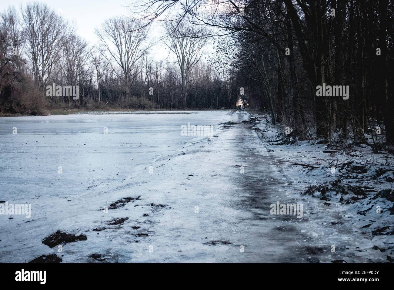 frozen flood in Cologne in Germany Stock Photo - Alamy