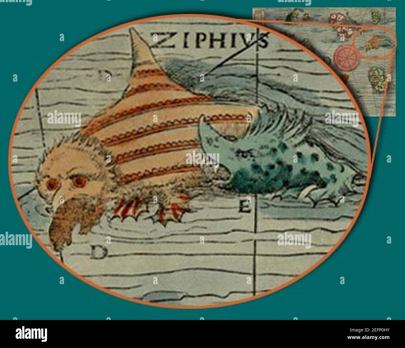 Xiphias hi-res stock photography and images - Alamy