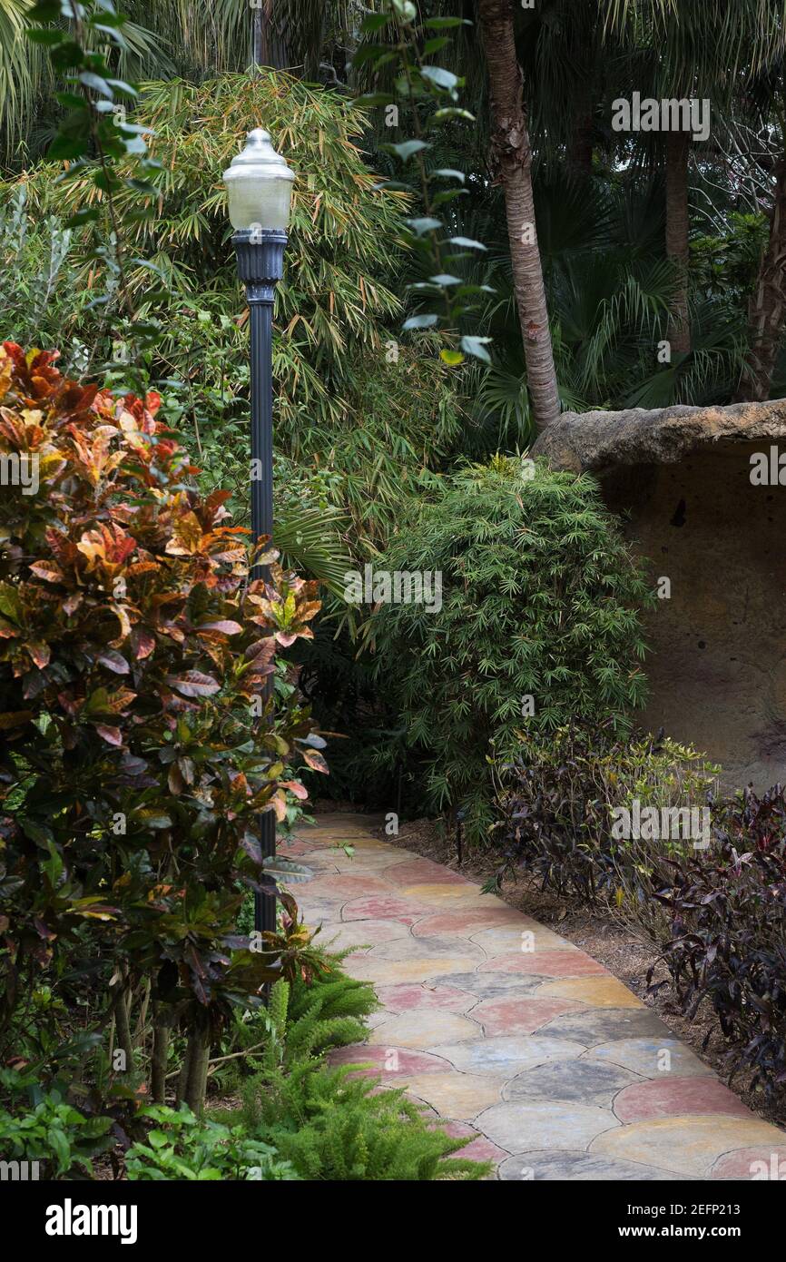A colorful pathway at Sunken Gardens in St. Petersburg, Florida Stock ...