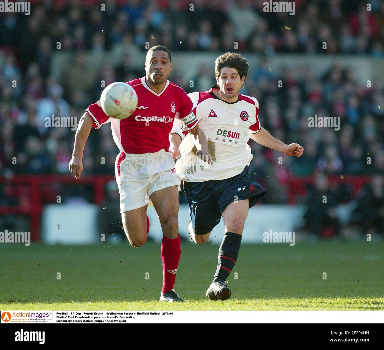 Des walker sheffield forest hi-res stock photography and images - Alamy