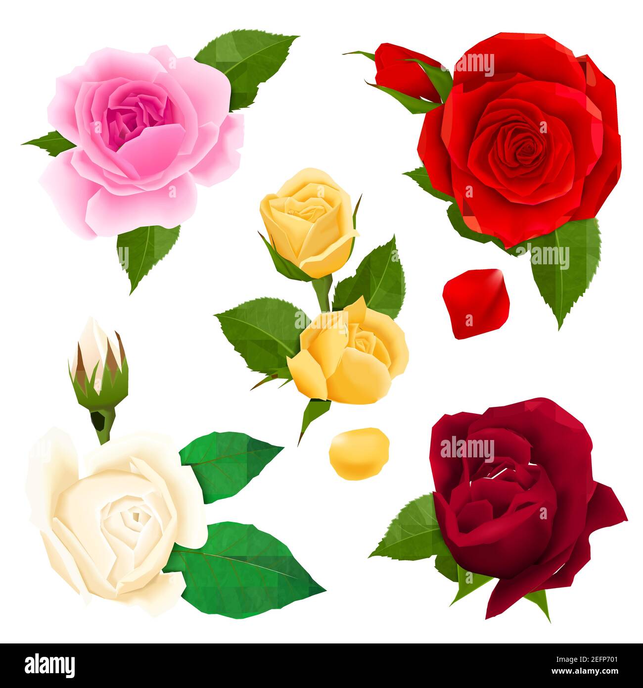 Rose flowers realistic set with different colors and shapes isolated ...