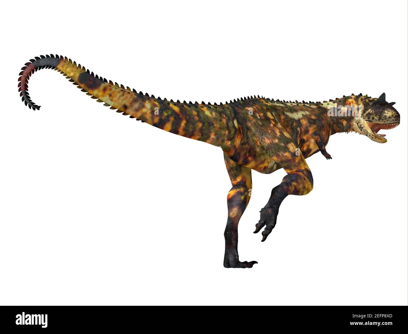 Carnotaurus hi-res stock photography and images - Alamy