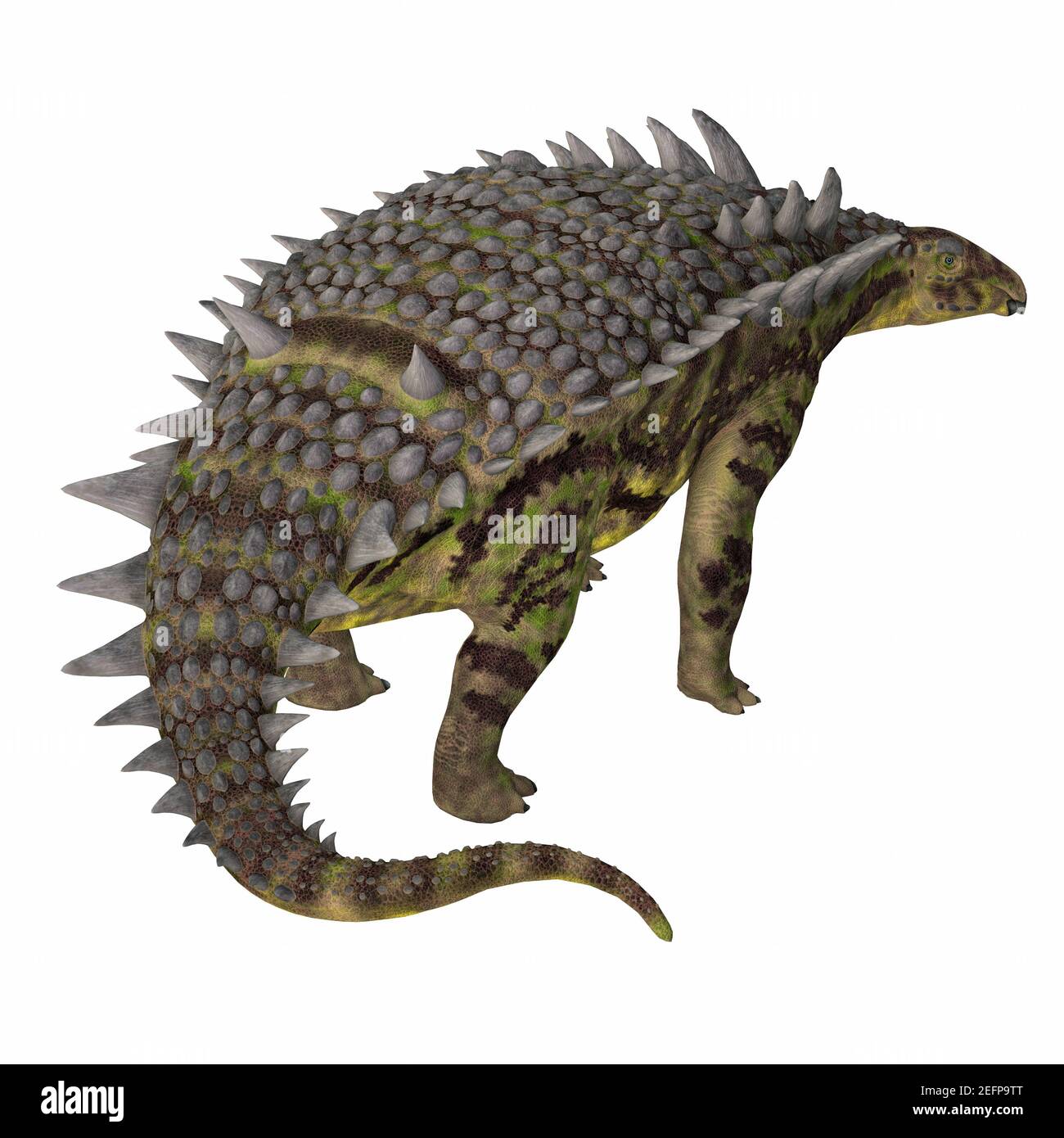 Ankylosaur hi-res stock photography and images - Alamy