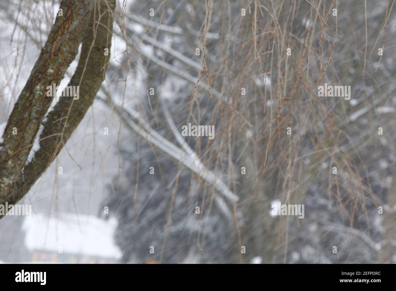 Wintry scenes hi-res stock photography and images - Alamy