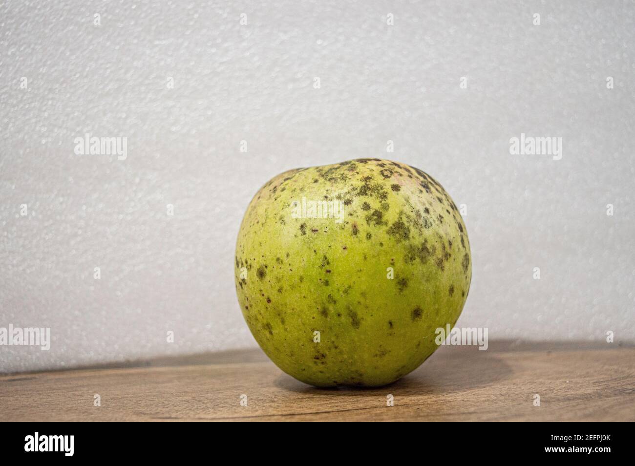 Green molded tree hi-res stock photography and images - Alamy
