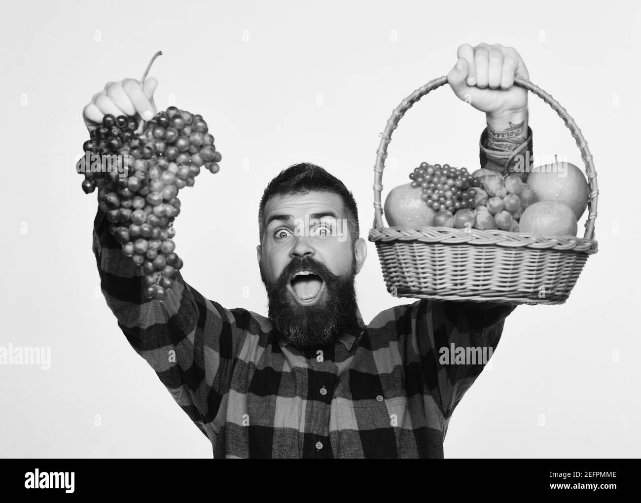 Bunch apples Black and White Stock Photos & Images - Alamy