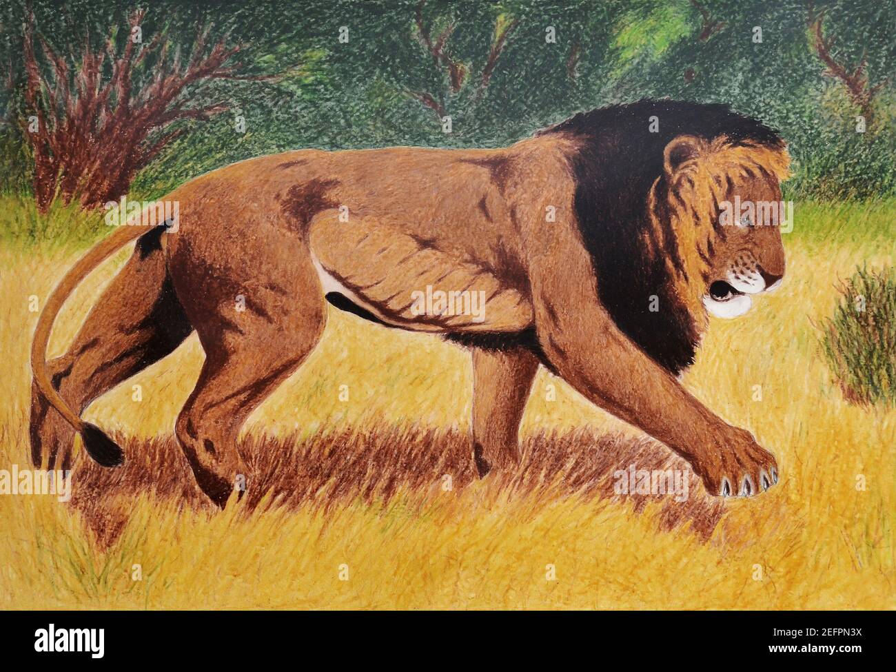 painting of old lion walking in the savannah Stock Photo - Alamy