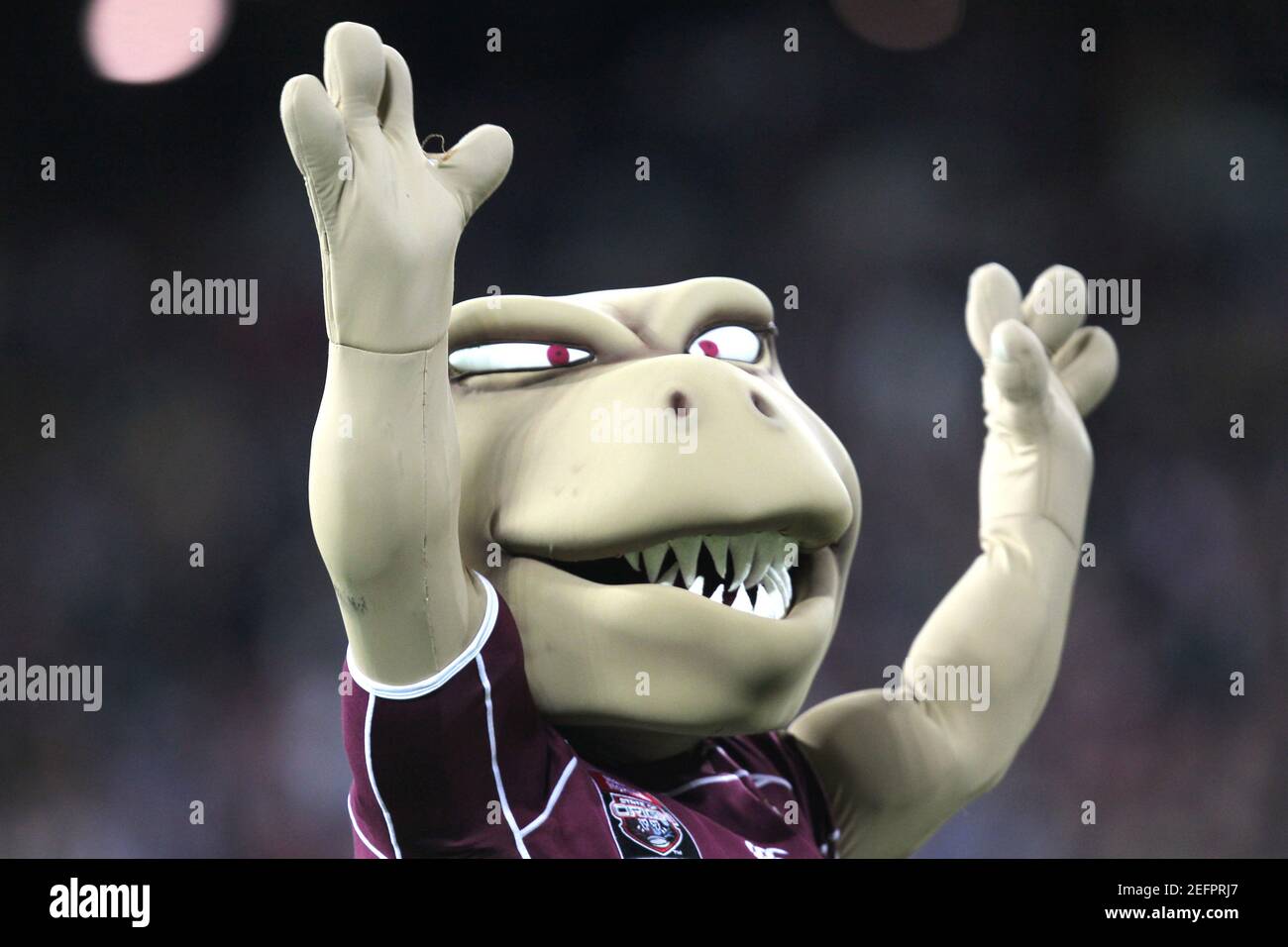 State of origin rugby hi-res stock photography and images - Alamy