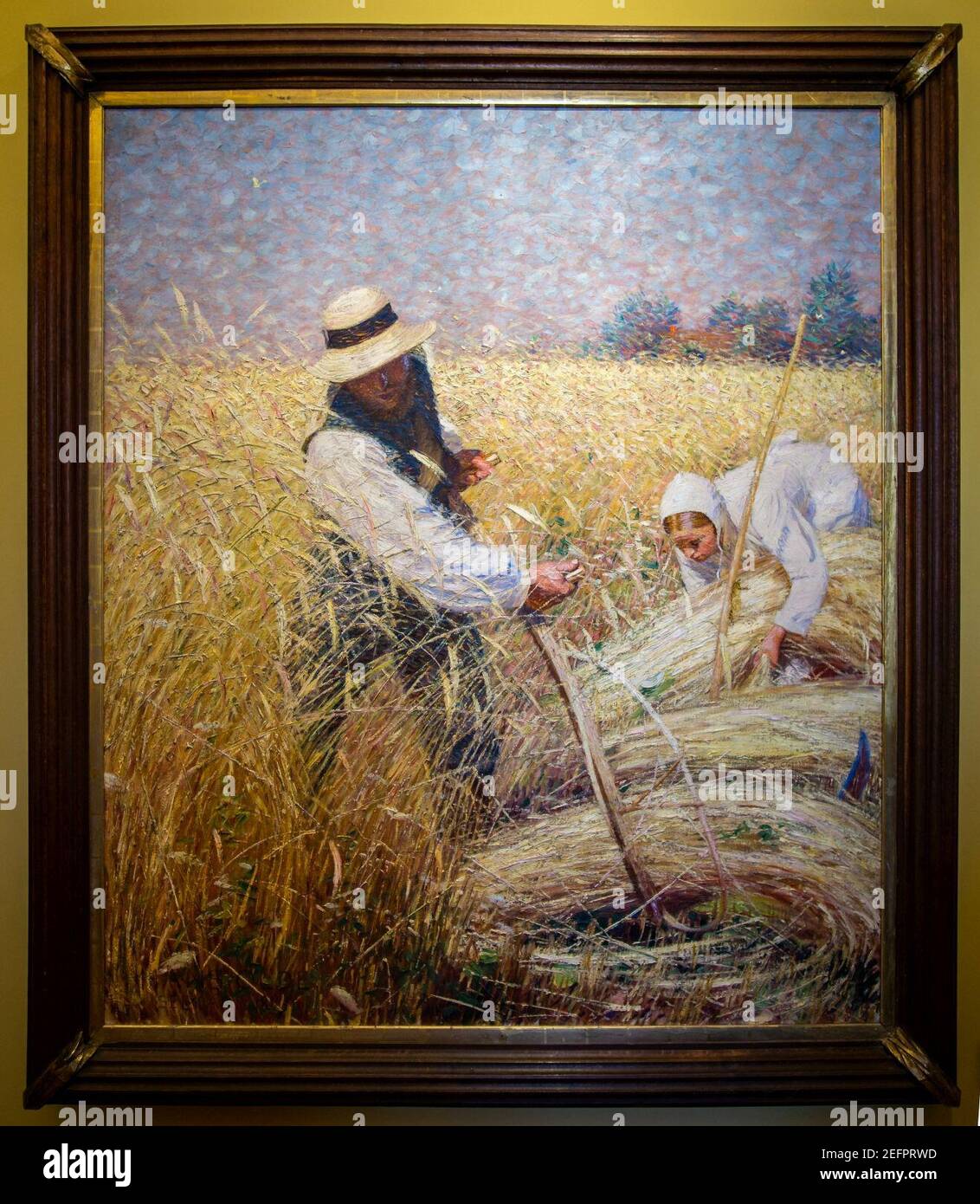 Schnitter hi-res stock photography and images - Alamy
