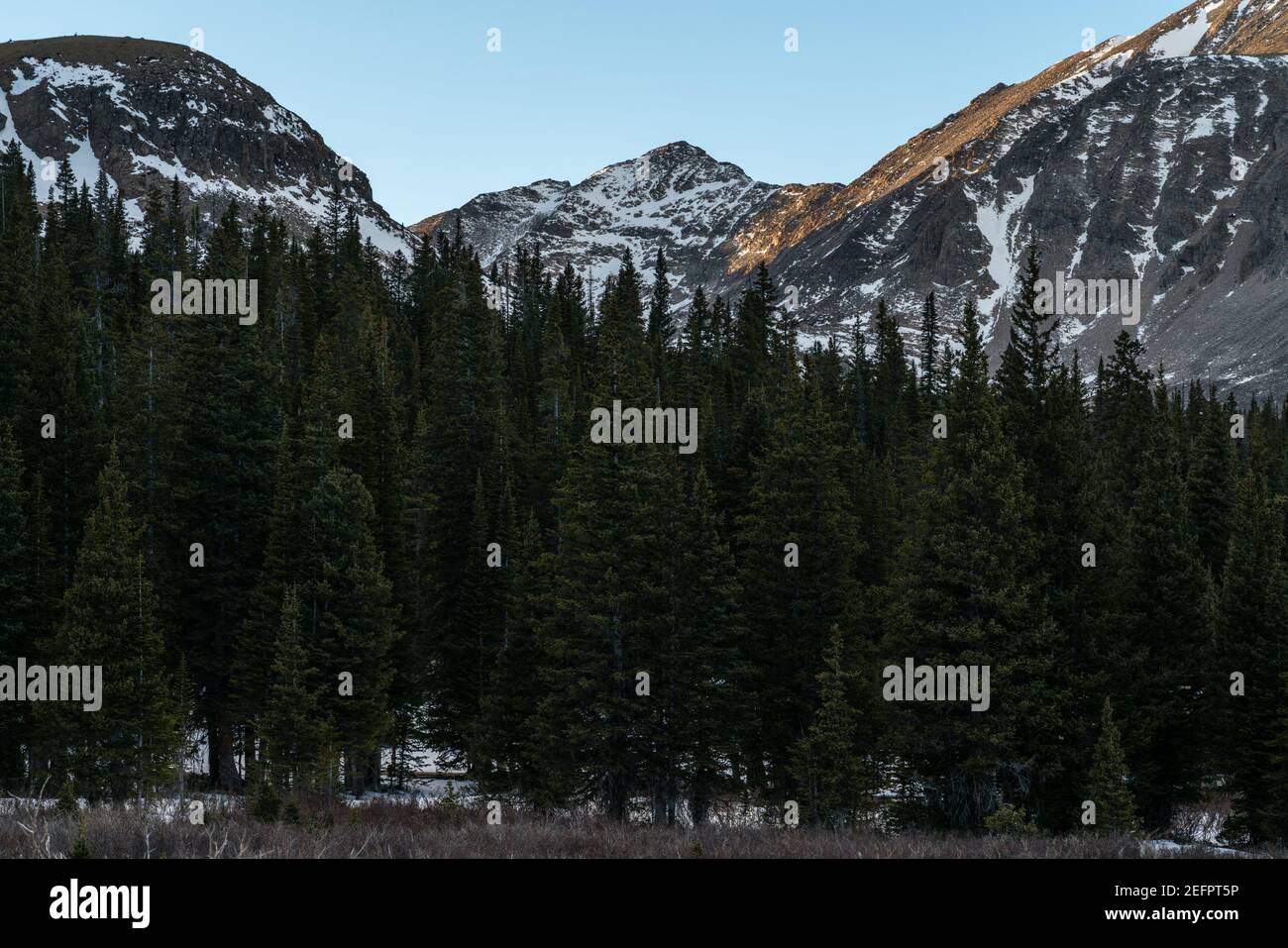 Indian Peaks Wilderness, near the Brainard Lake Recreation Area Stock ...