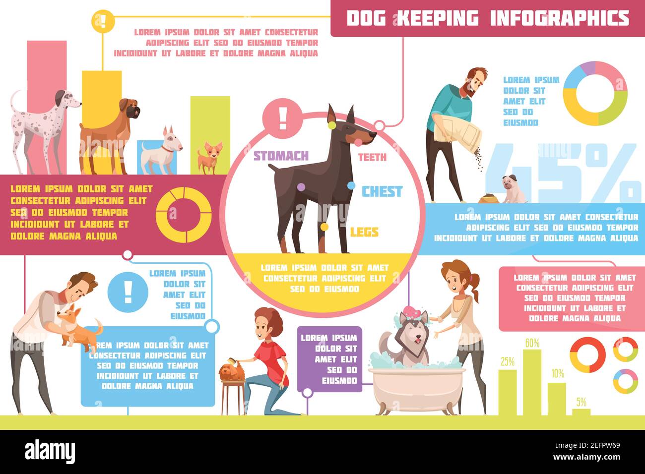 Pet dogs feeding upbringing training practical tips with veterinarian ...