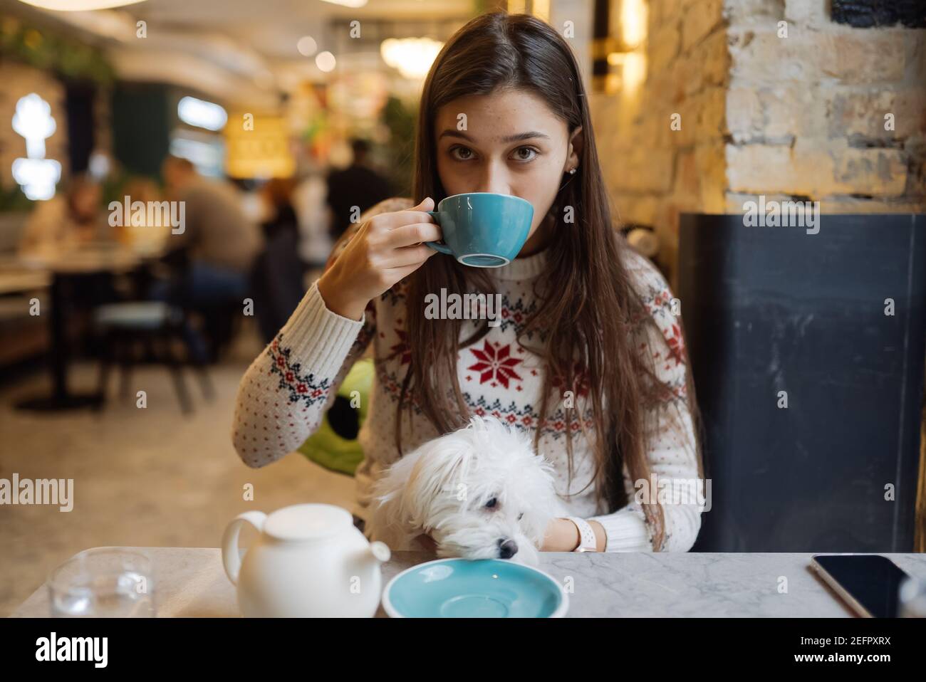 Beautiful woman is holding her cute dog, drinking coffee in cafe Stock ...