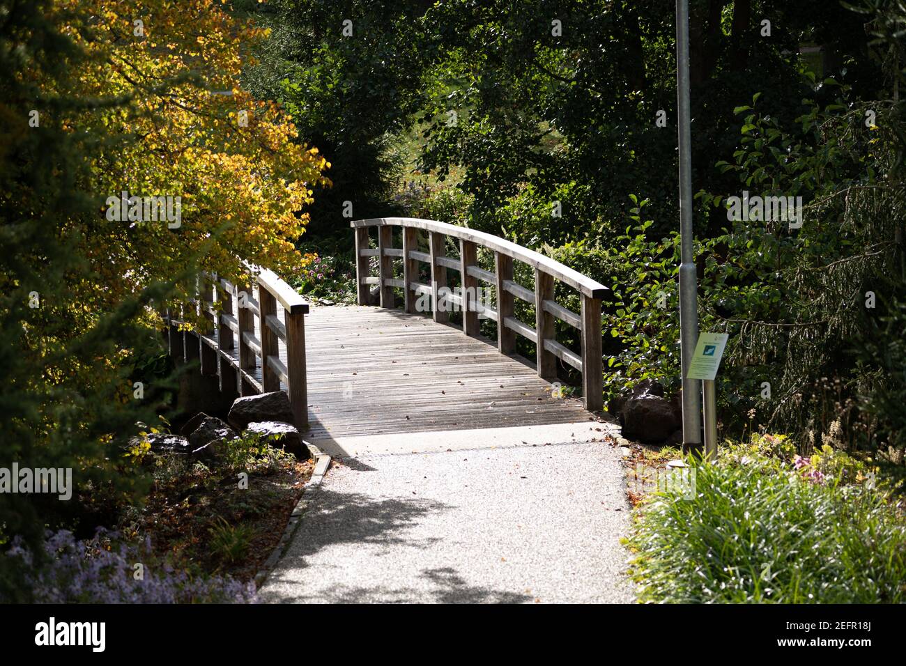 a wooden bridge across a lake in a park with trees in the colors of ...