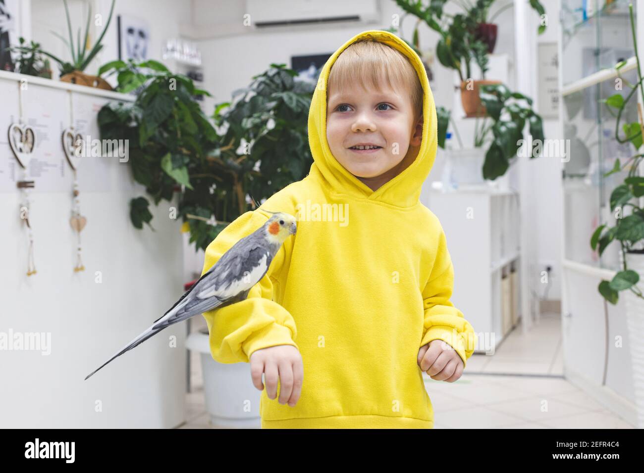 Boy with cockatiel hi-res stock photography and images - Alamy