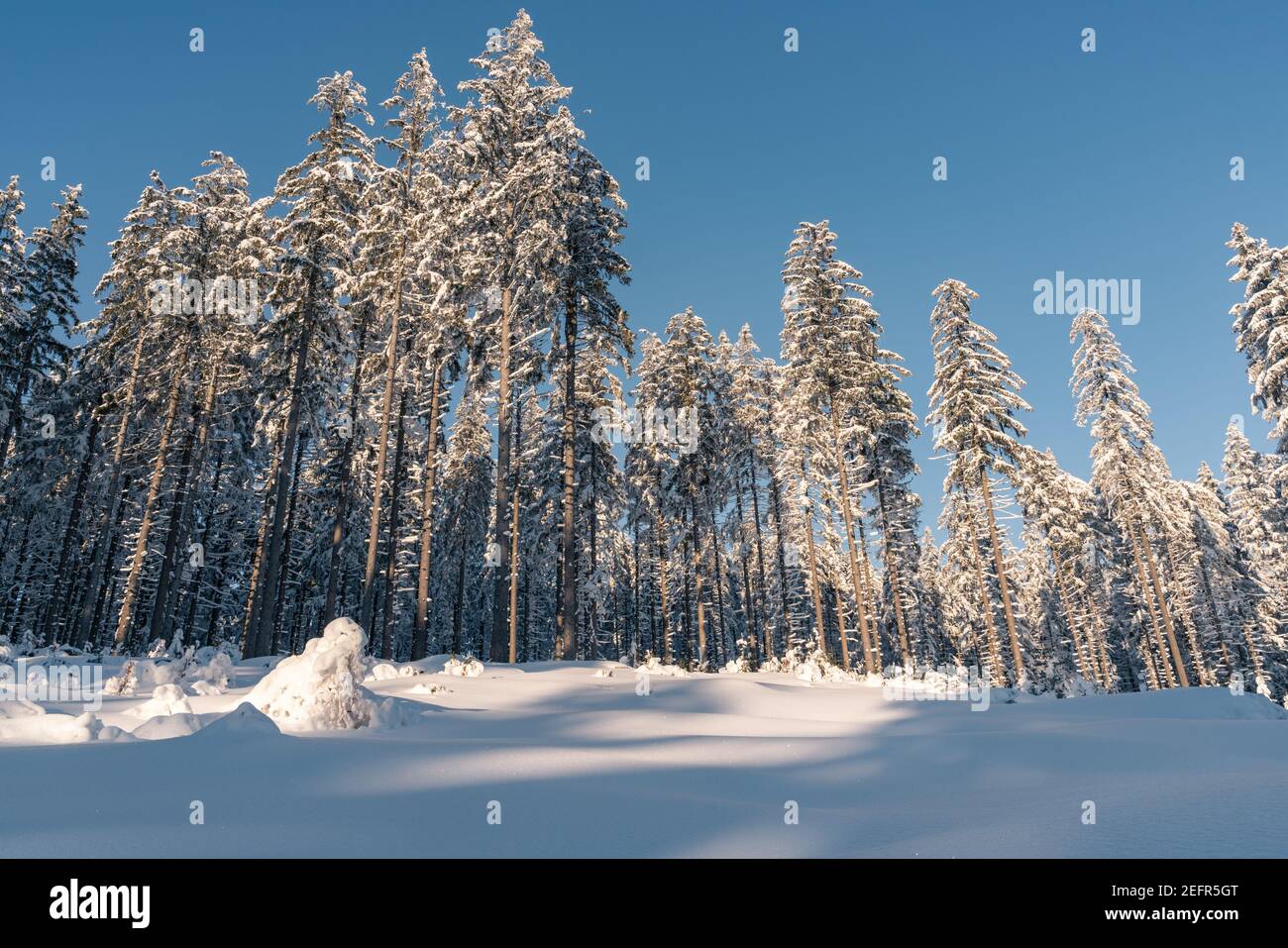 Freezing Day High Resolution Stock Photography and Images - Alamy