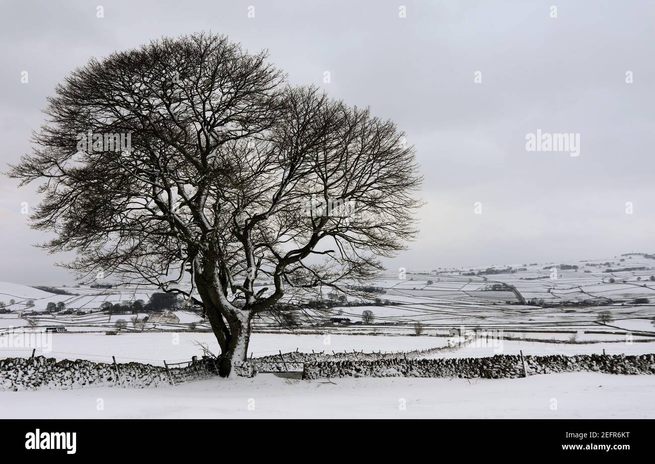 Wardlow peak district hi-res stock photography and images - Alamy