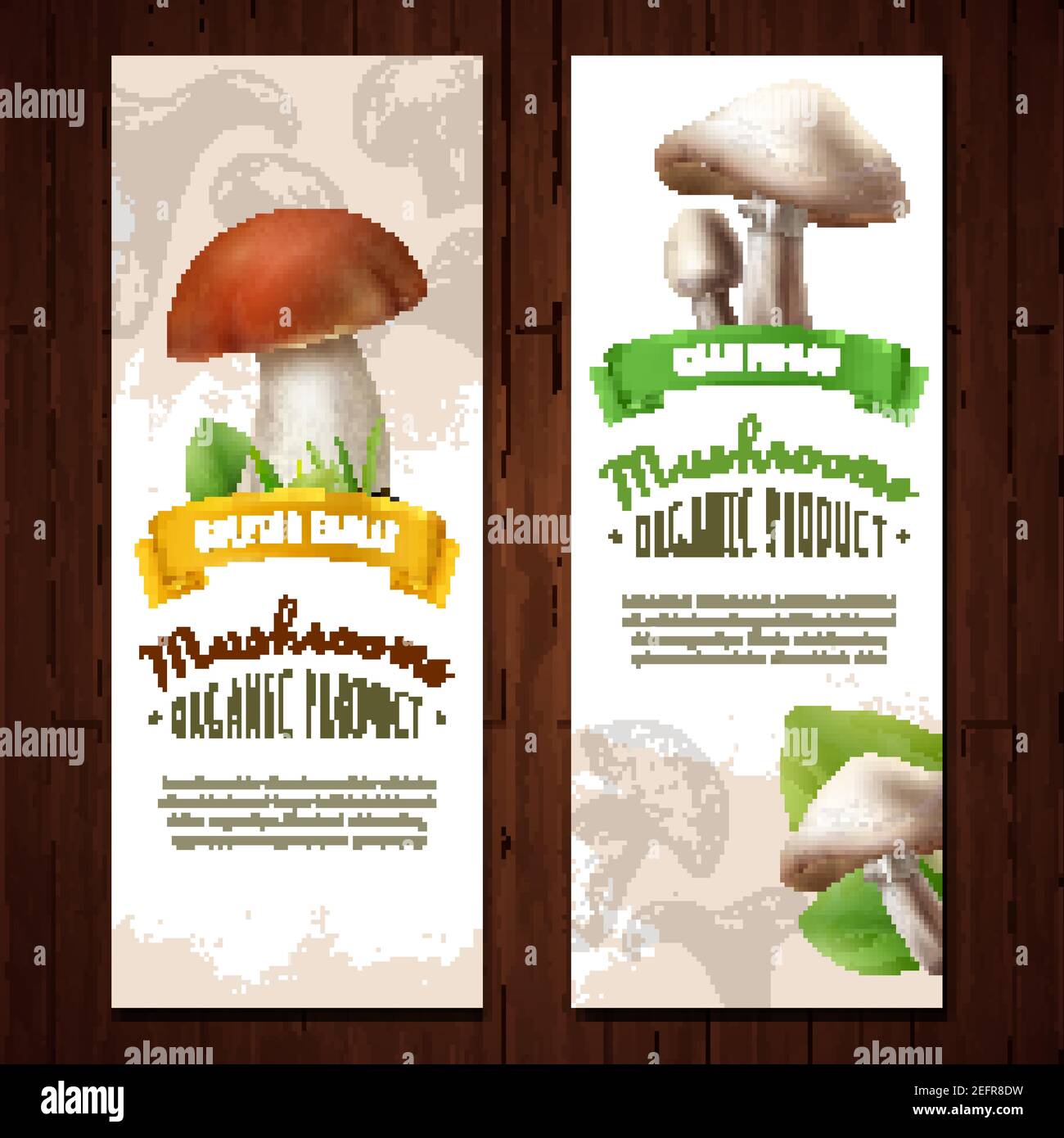 Mushrooms vertical banners set with images of edible boletus and ...