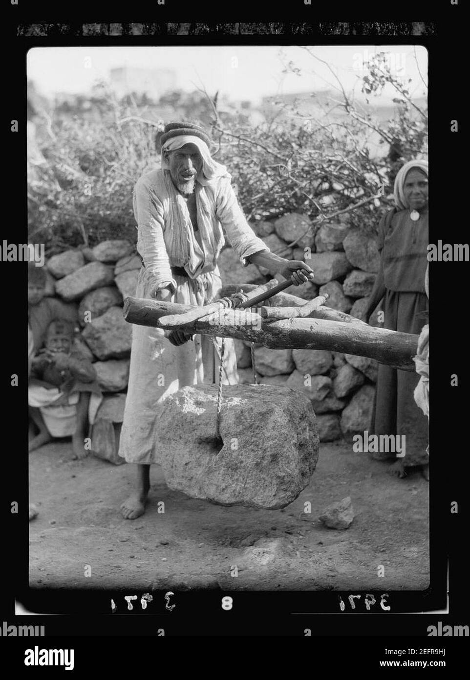Olive crushing and pressing. Process of winding the suspended weight on ...