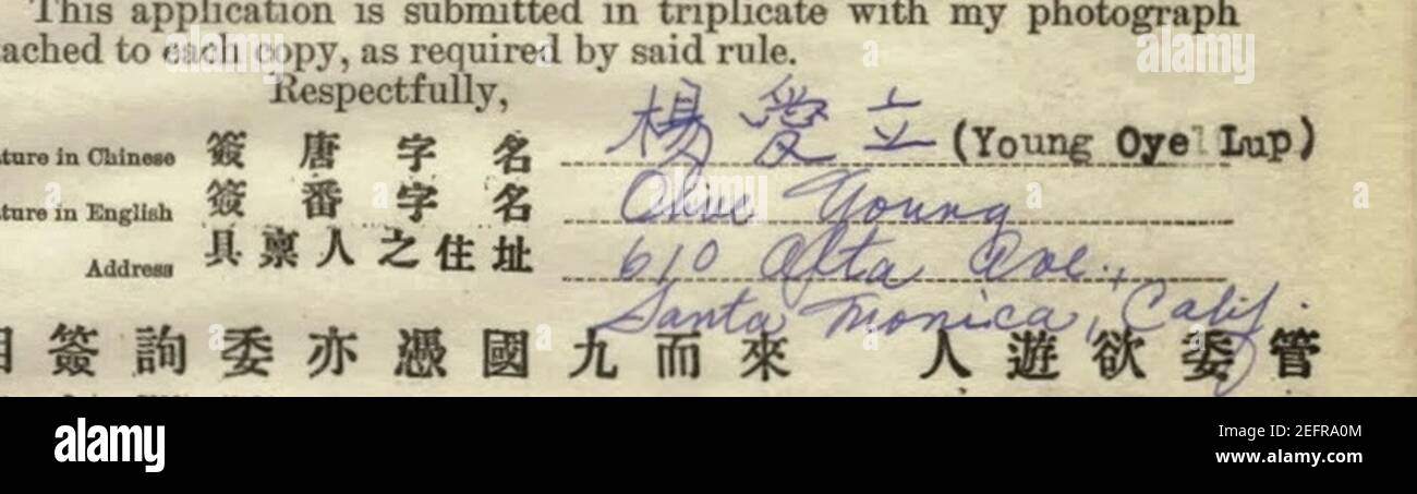 Olive Young signature Stock Photo - Alamy