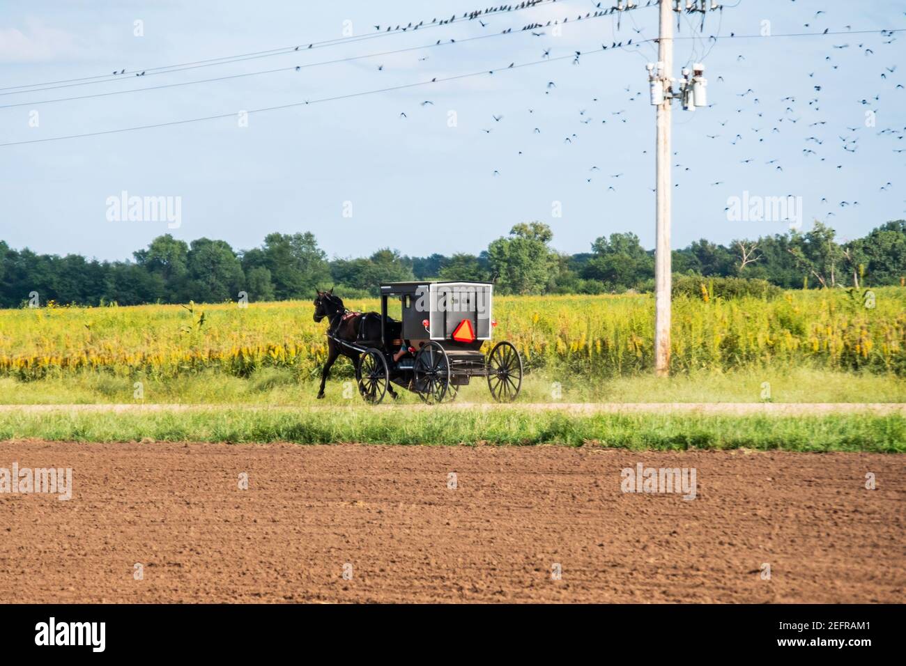 A partially seen person drives an Amish buggy pulled by a horse on a ...