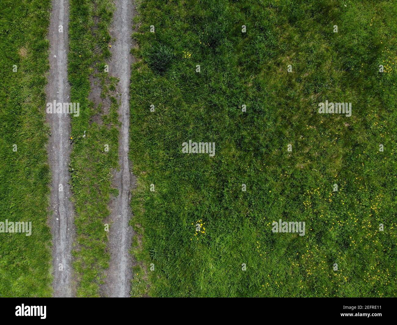 Top down look to connection of paths between grass and bushes Stock ...