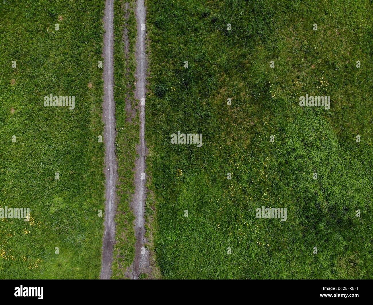 Top down look to connection of paths between grass and bushes Stock ...