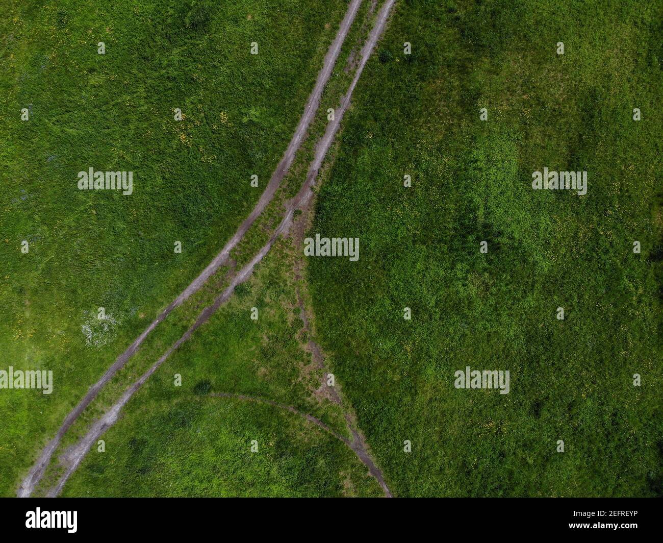 Top down look to connection of paths between grass and bushes Stock ...