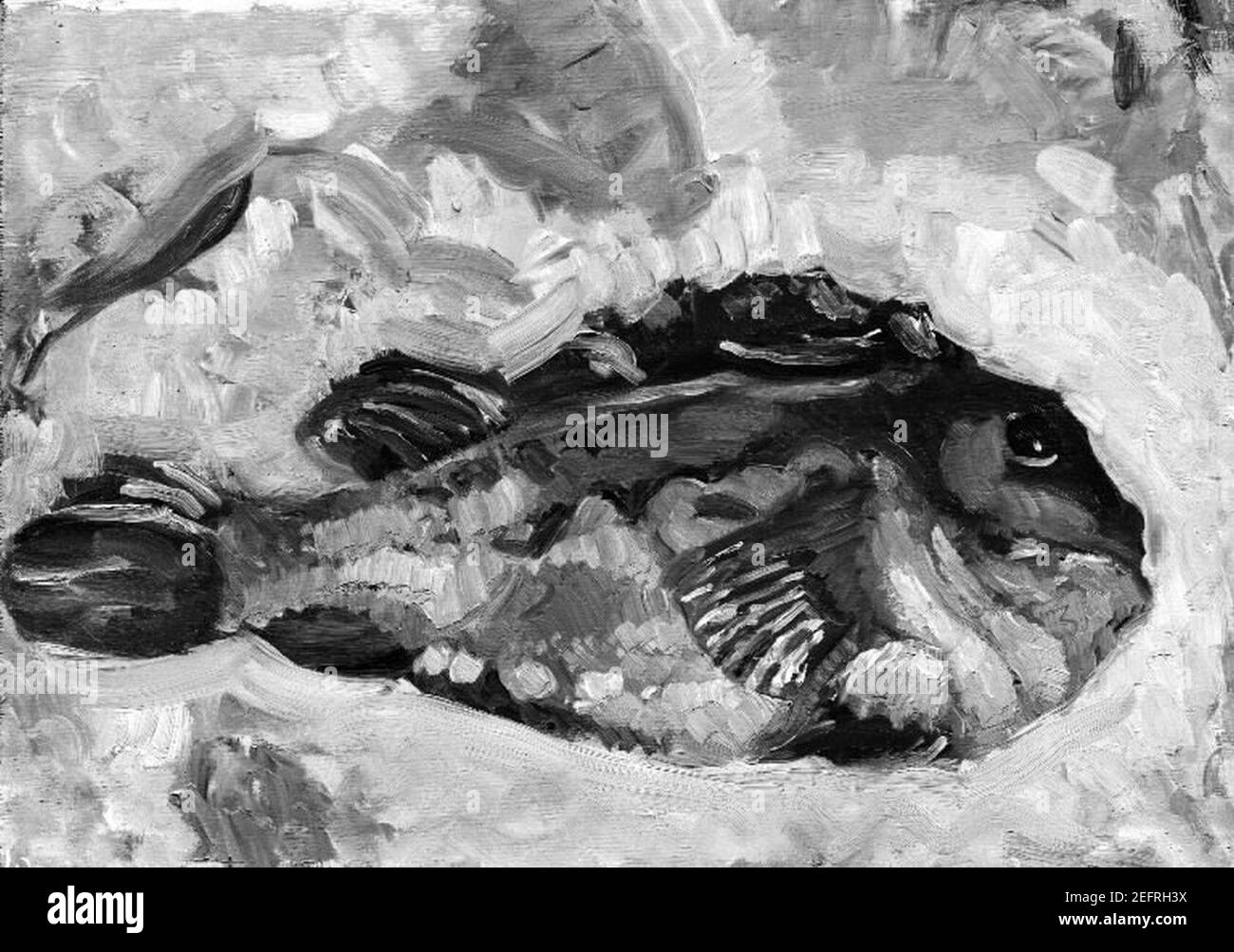 Oluf Hartmann - A Lumpfish Stock Photo - Alamy