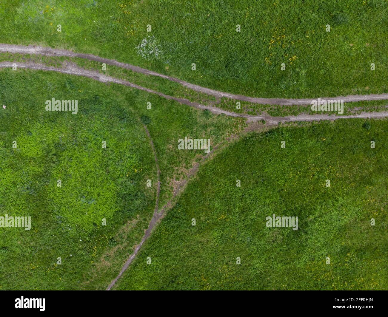 Top down look to connection of paths between grass, bushes and trees ...