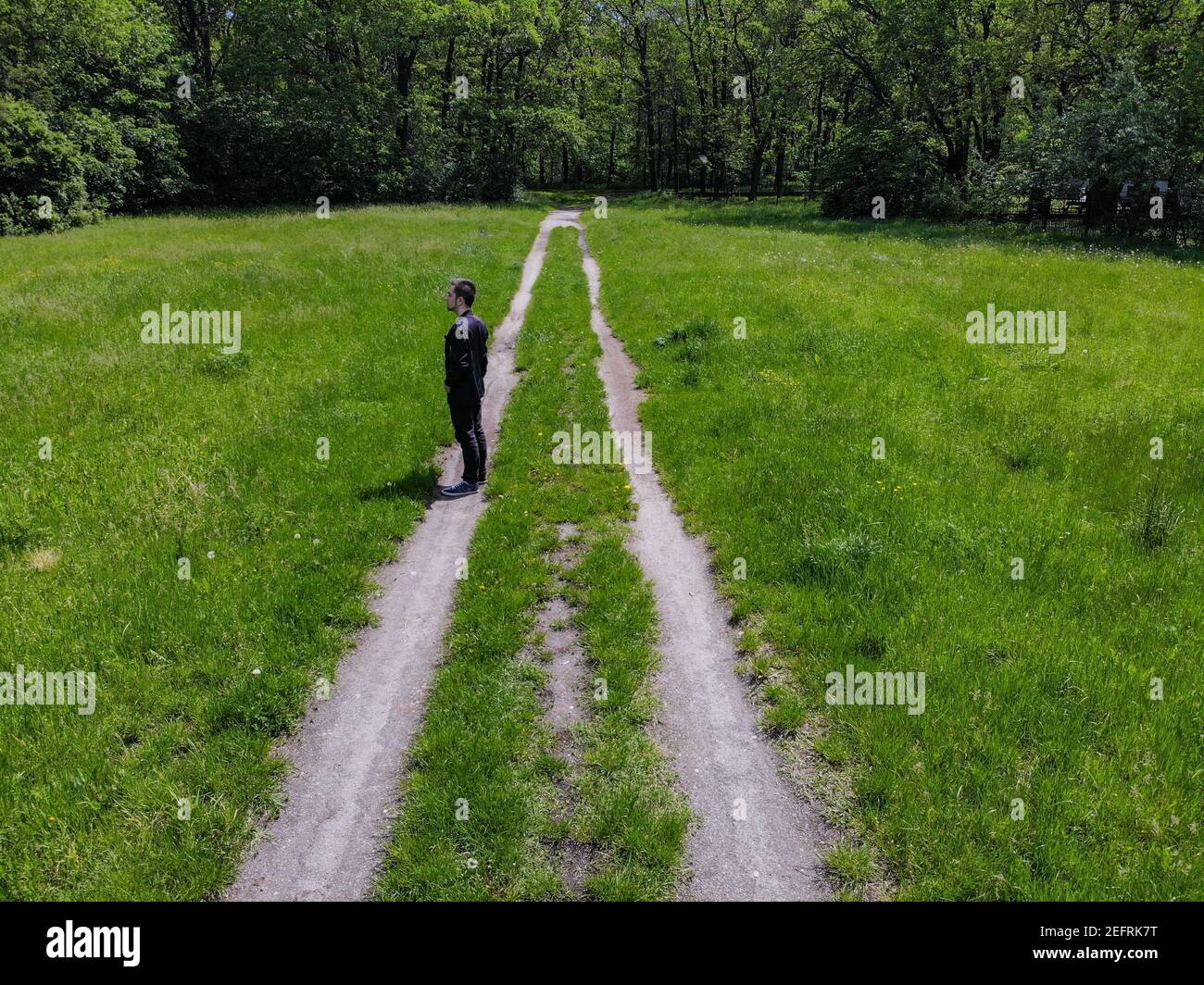 Man on double path at green clearing with trees around Stock Photo - Alamy