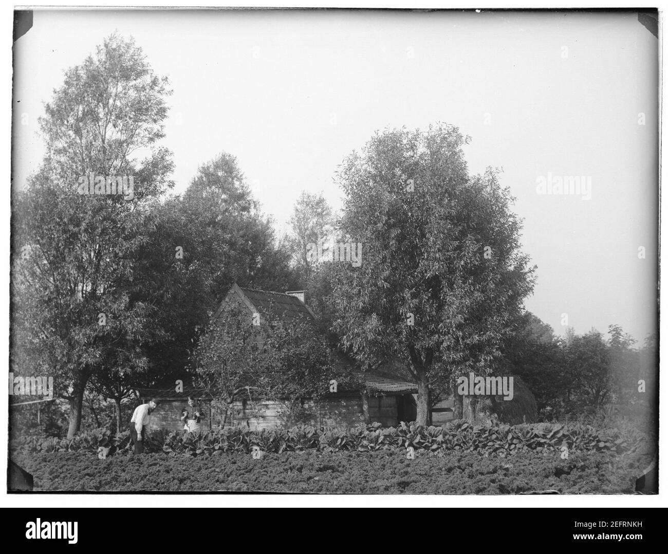 Omgeving Schagerlaan Jacob Olie (max res Stock Photo - Alamy