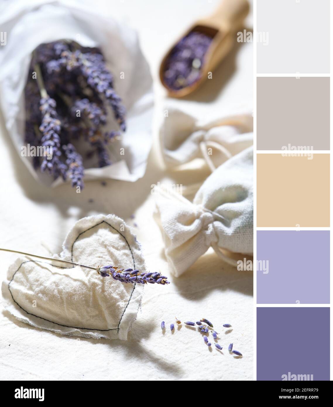 Lavender Color Palette