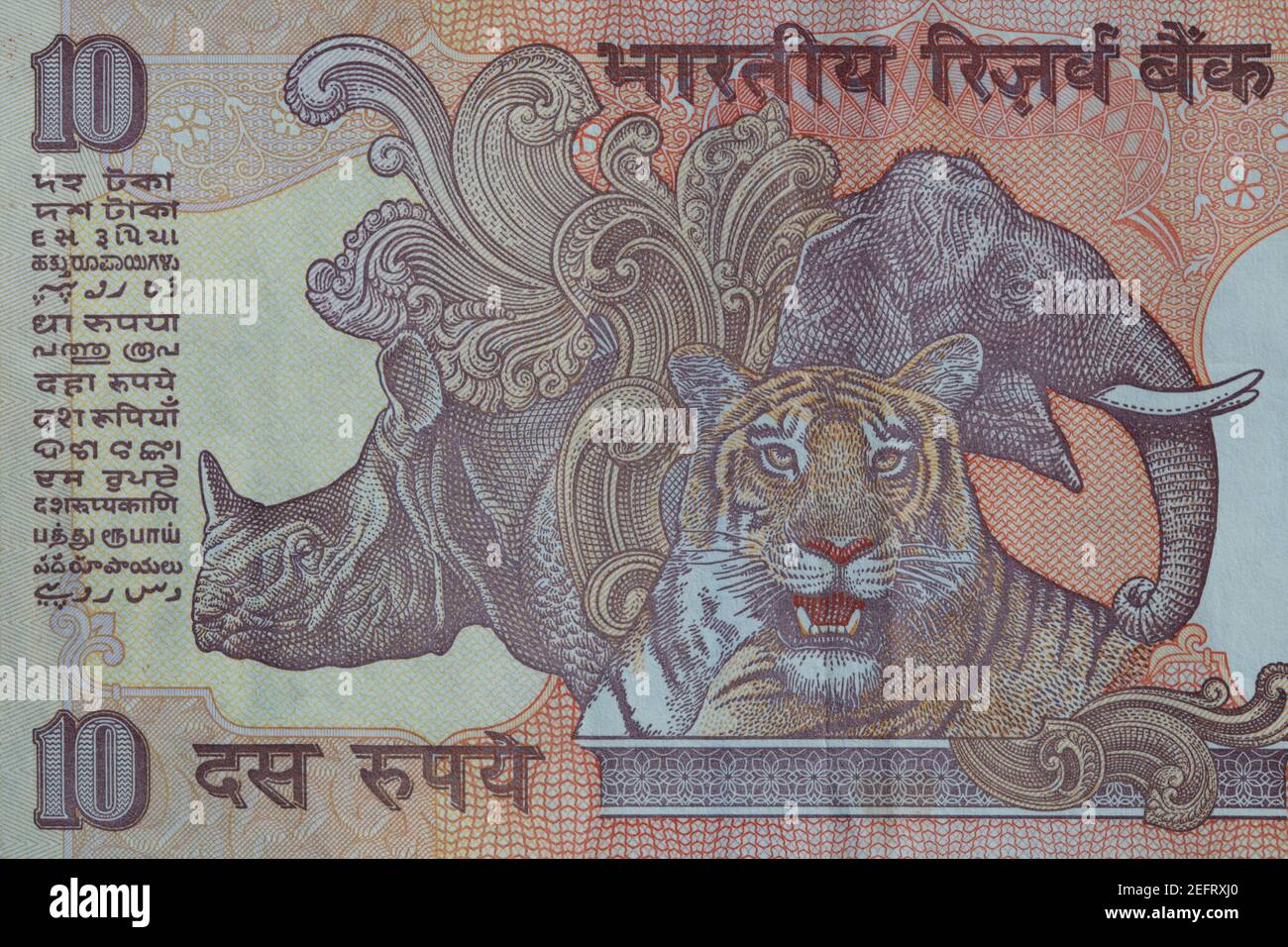 Fragment of old 10 Indian rupee reverse for design purpose Stock Photo ...