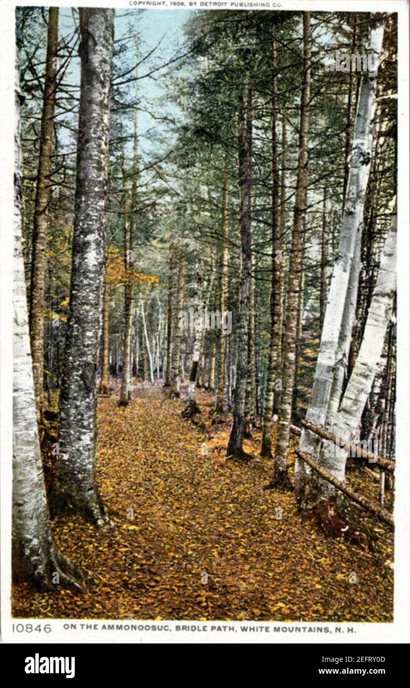 Historic bridle path hi-res stock photography and images - Alamy