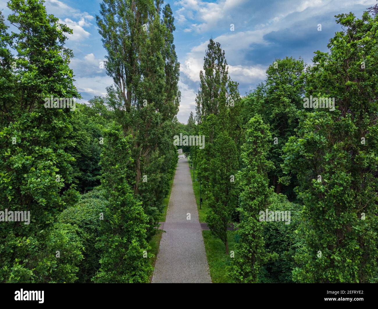 Park bushes hi-res stock photography and images - Alamy