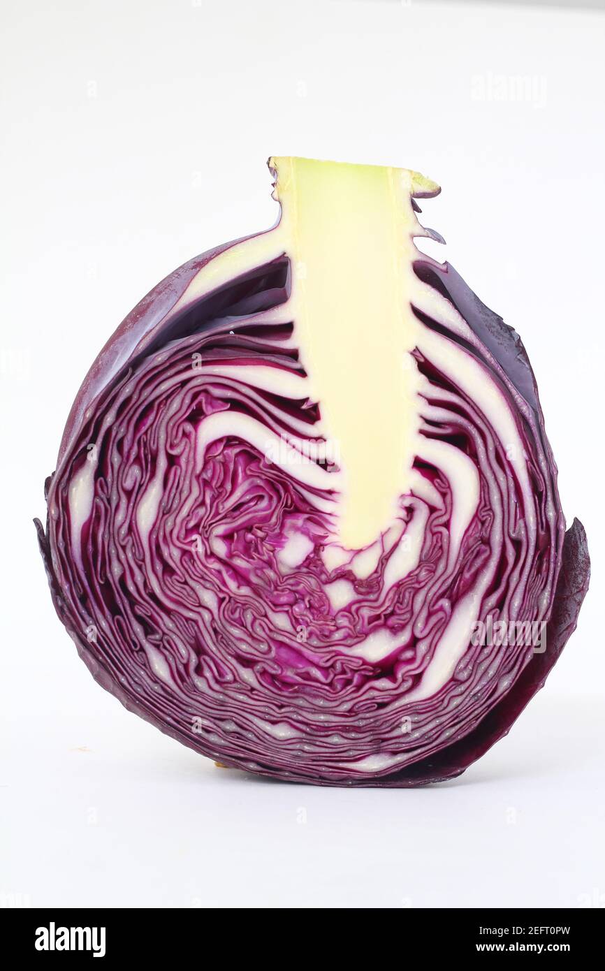 Red cabbage on a white background Stock Photo - Alamy
