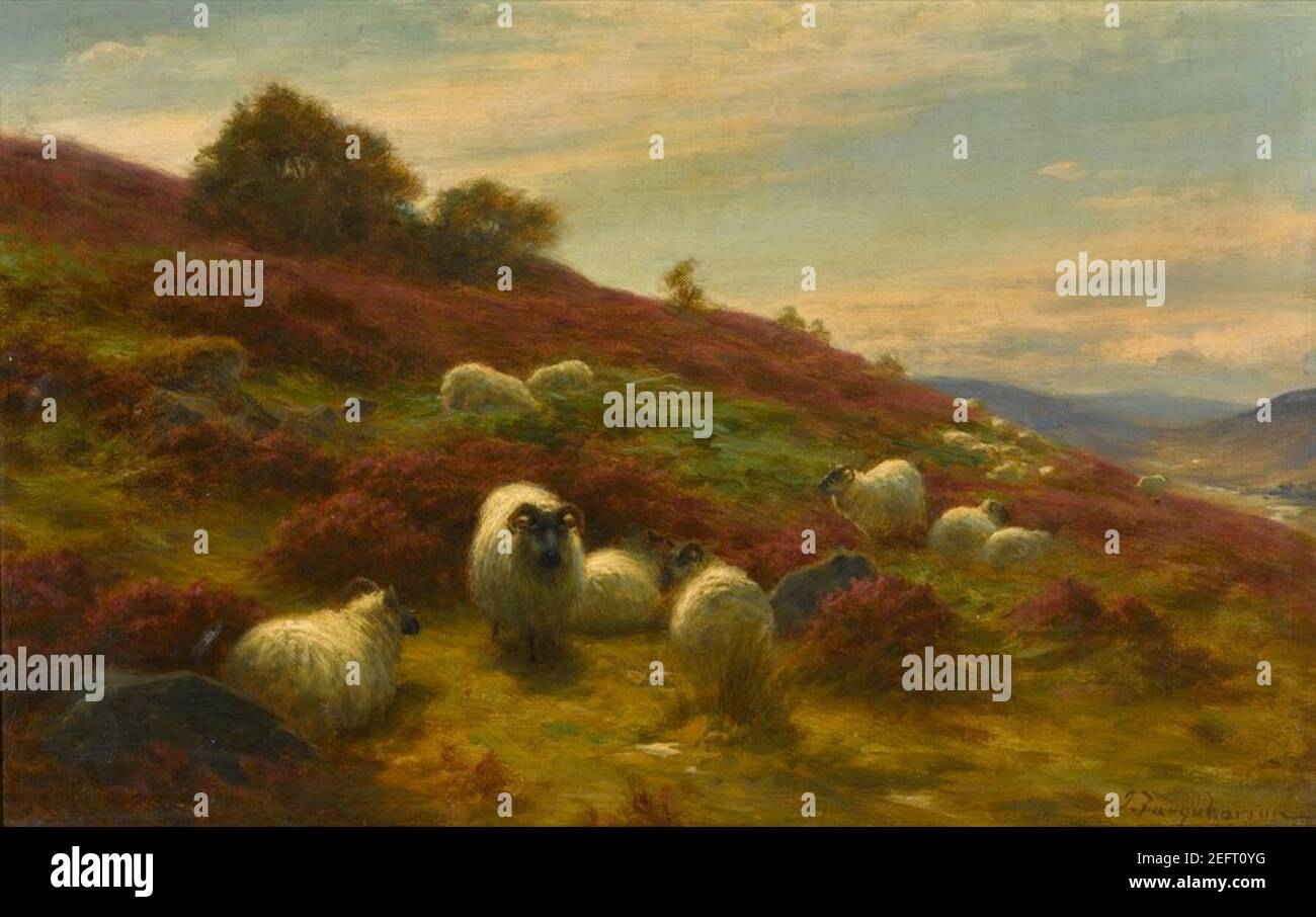 Finzean hi-res stock photography and images - Alamy