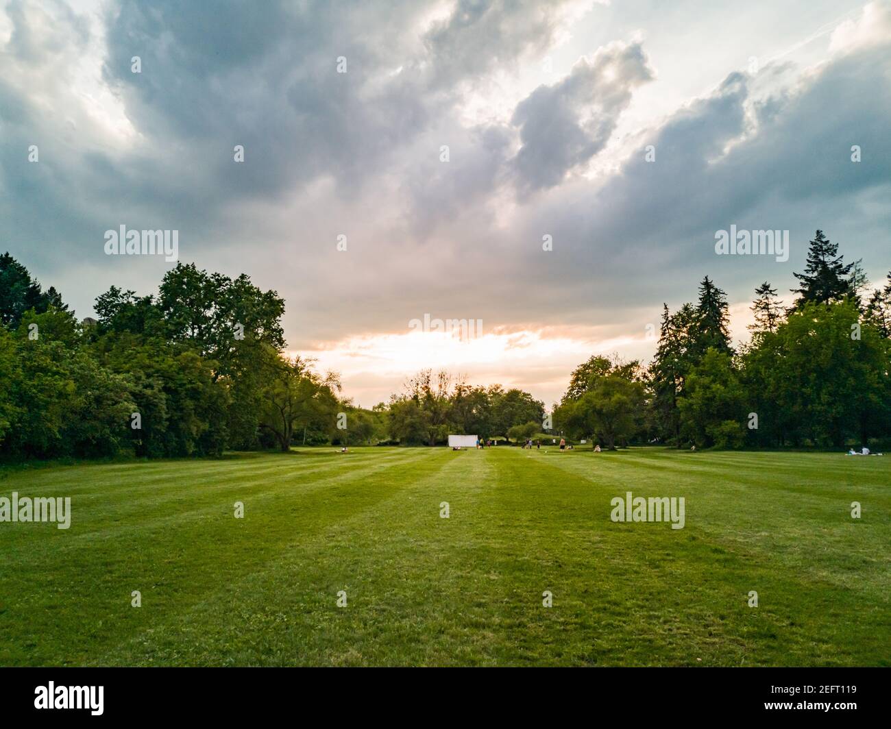 Dark forest clearing hi-res stock photography and images - Alamy