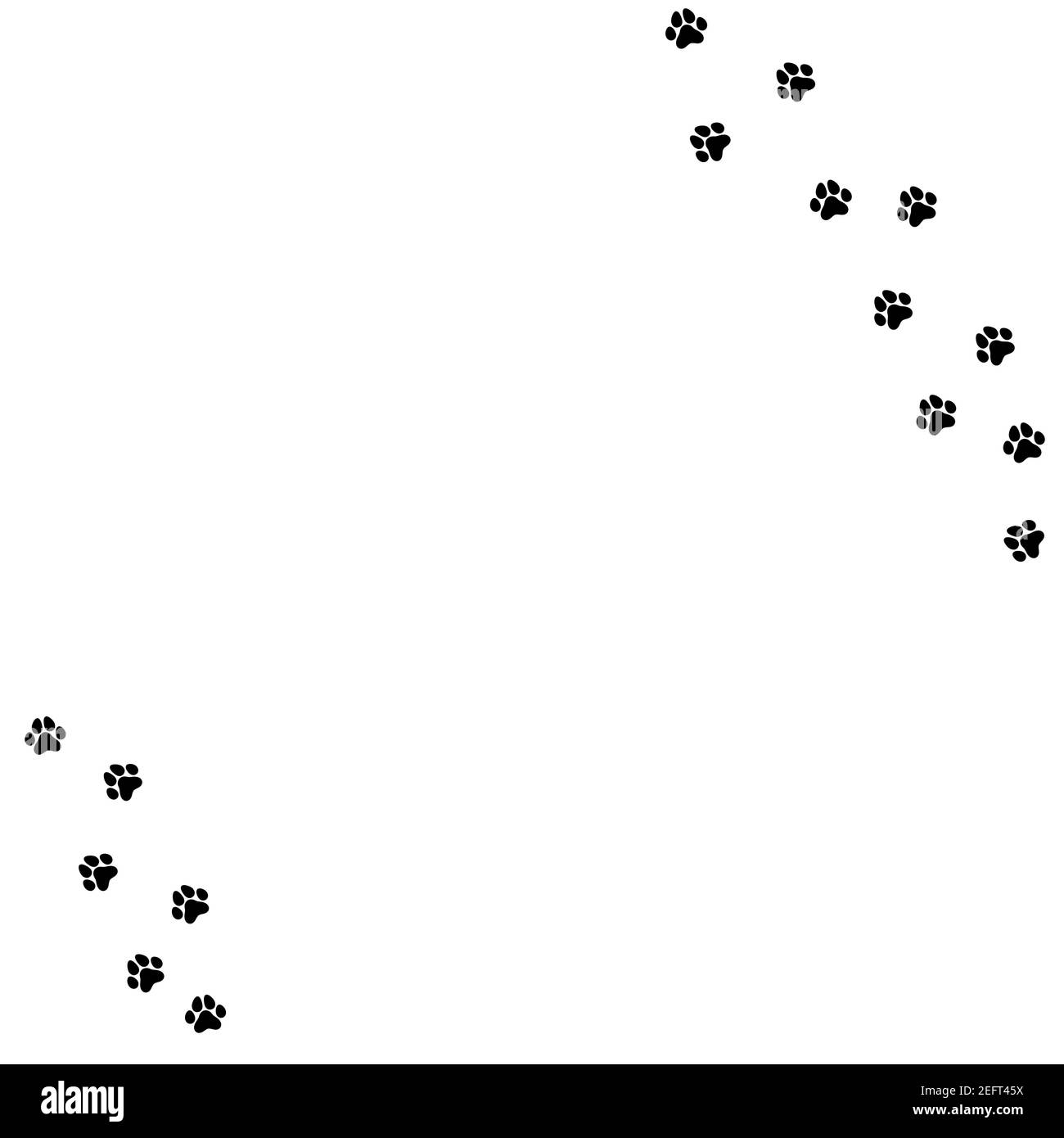 black cat trace. icon isolated on white. Vector flat illustration ...