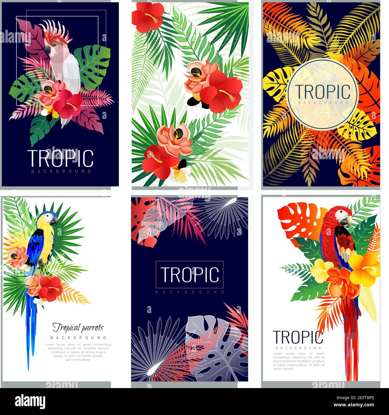 Tropical parrots cards set of six vertical posters with leaves birds ...