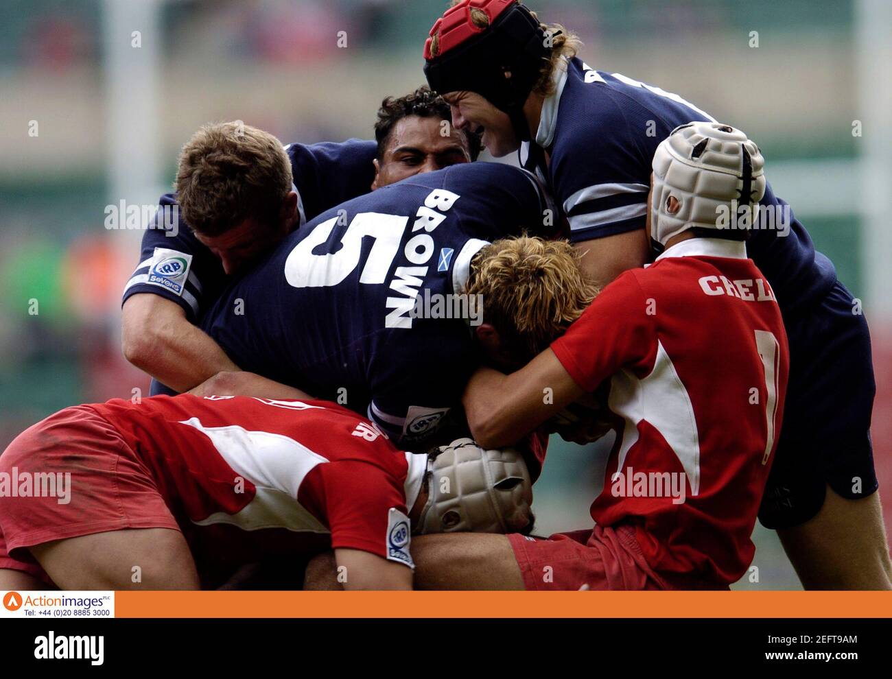 Olo brown hi-res stock photography and images - Alamy