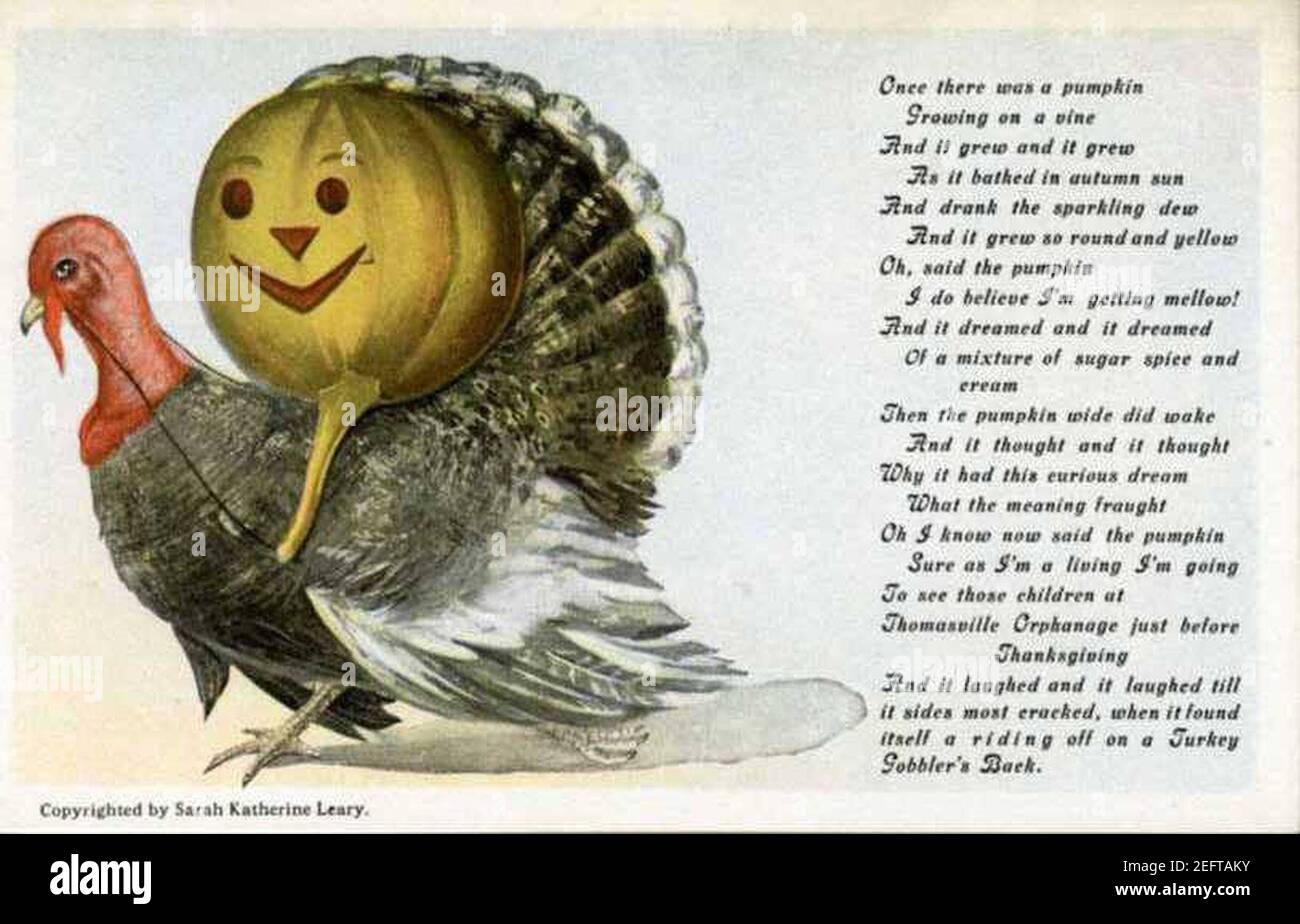 Once there was a pumpkin Growing on a vine poem Stock Photo - Alamy