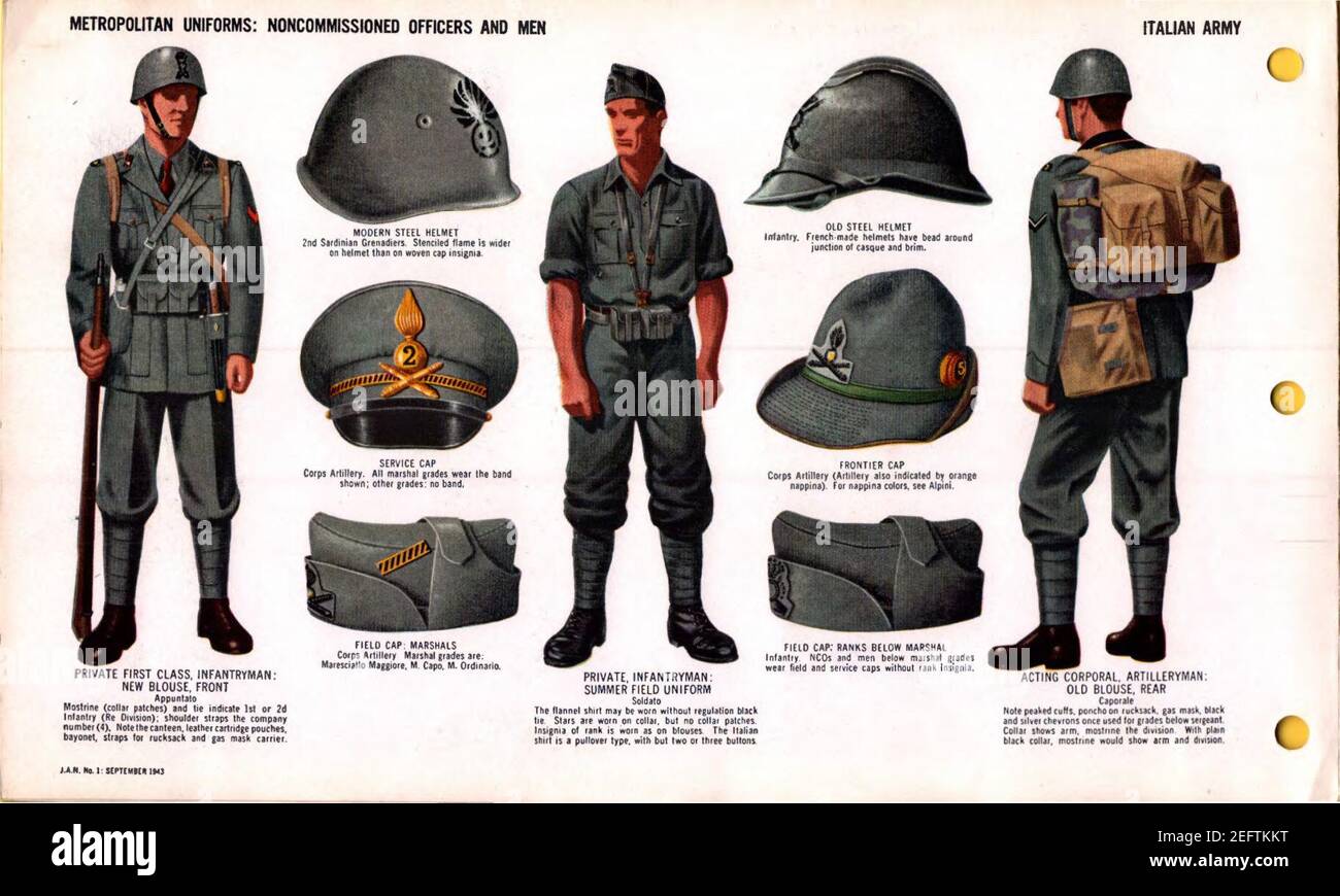 ONI JAN 1 Uniforms and Insignia Page 065 Italian Army WW2 Metropolitan ...