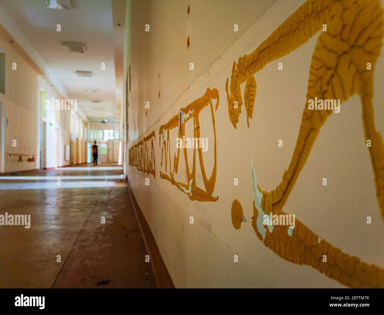 Old glue on wall of corridor in old abandoned hospital Stock Photo - Alamy