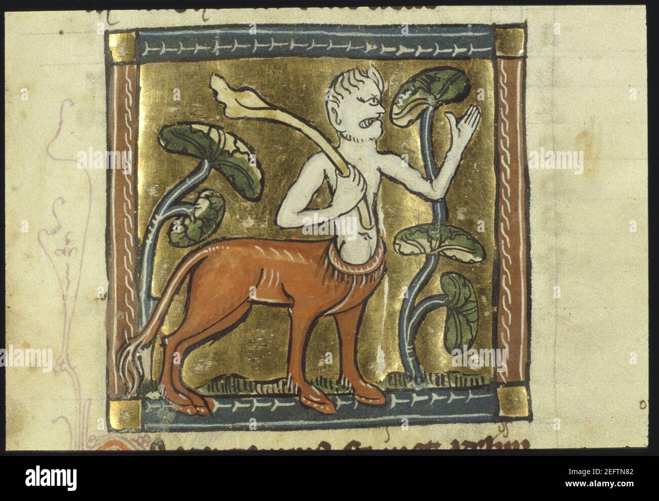 Onocentaurus (kind of centaur) - Der naturen bloeme - Jacob van ...