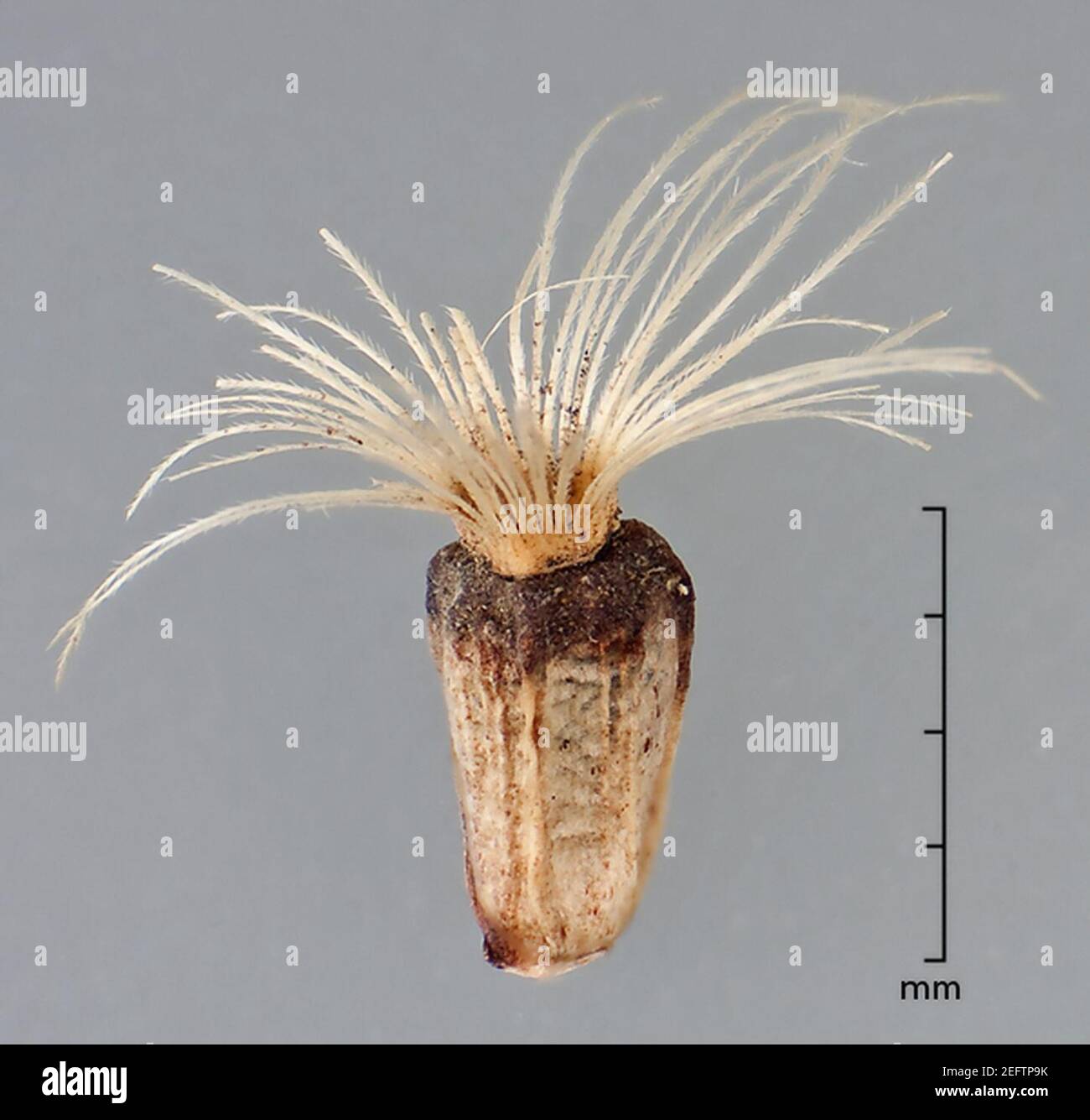 Lgo hi-res stock photography and images - Alamy