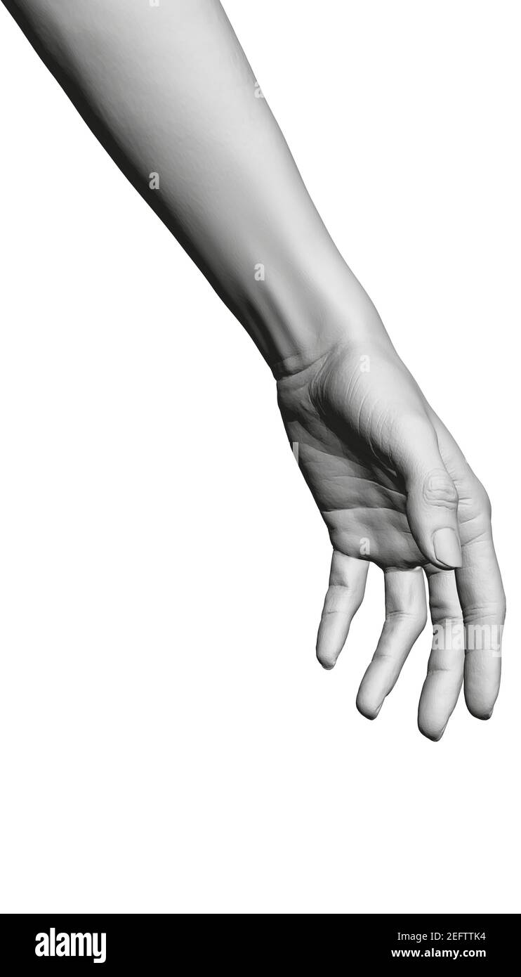 Model of a white female detailed hand. Polygonal hand of a girl. 3D ...