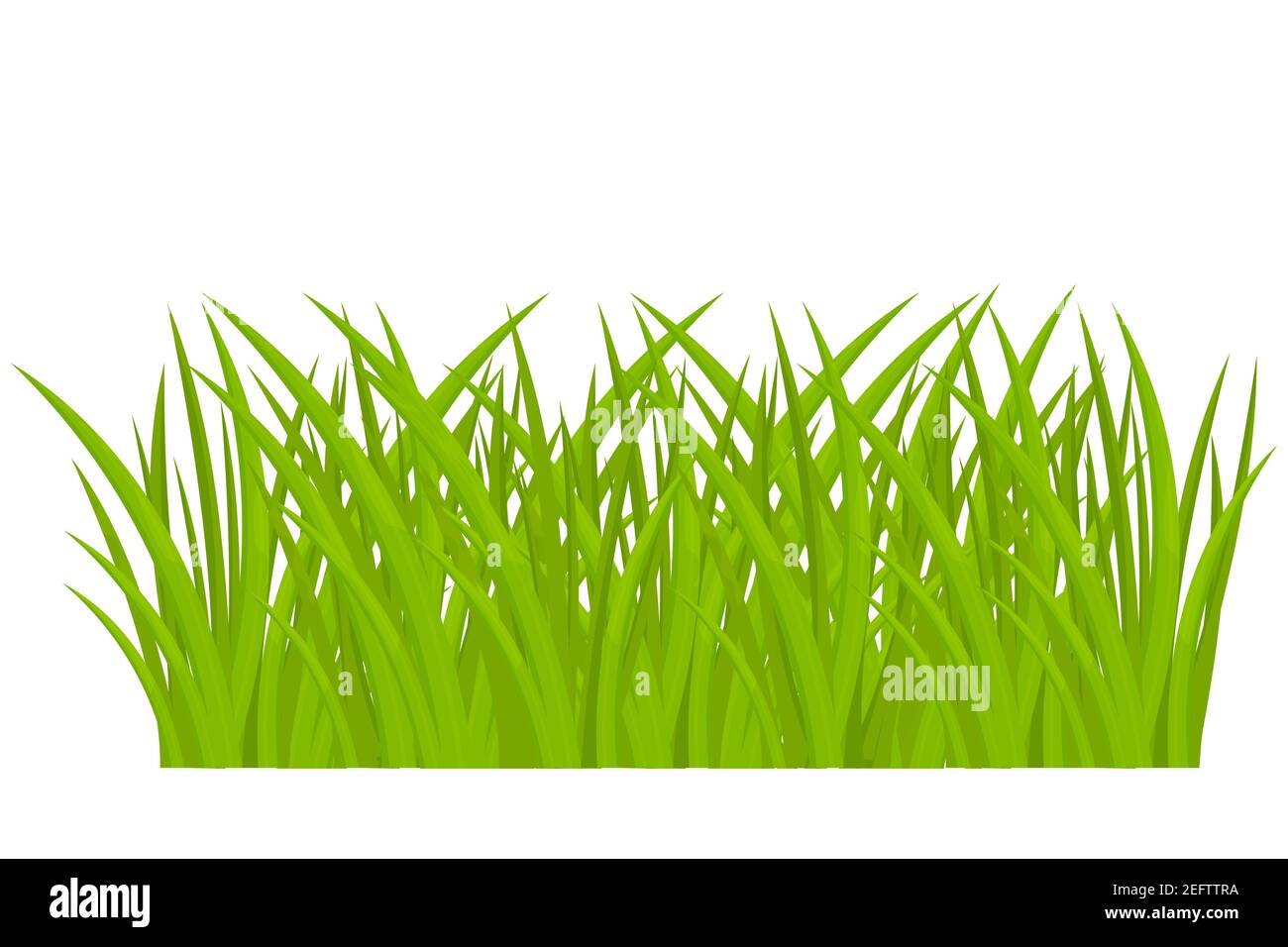 Cartoon green grass in cartoon style isolated on white background stock ...