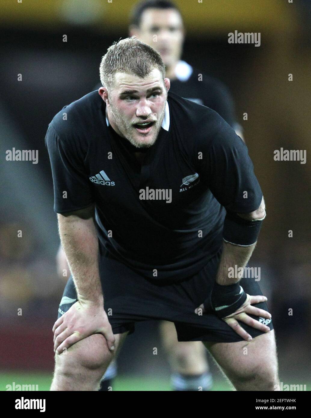 Owen franks new zealand hi-res stock photography and images - Alamy