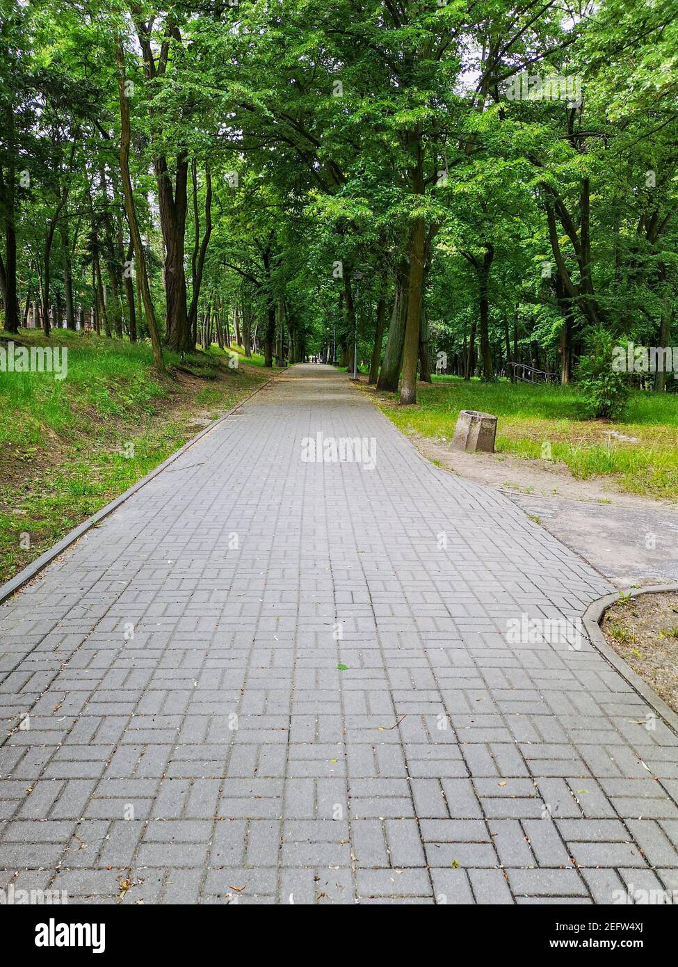 Long concrete path in park between lamps and trees Stock Photo - Alamy